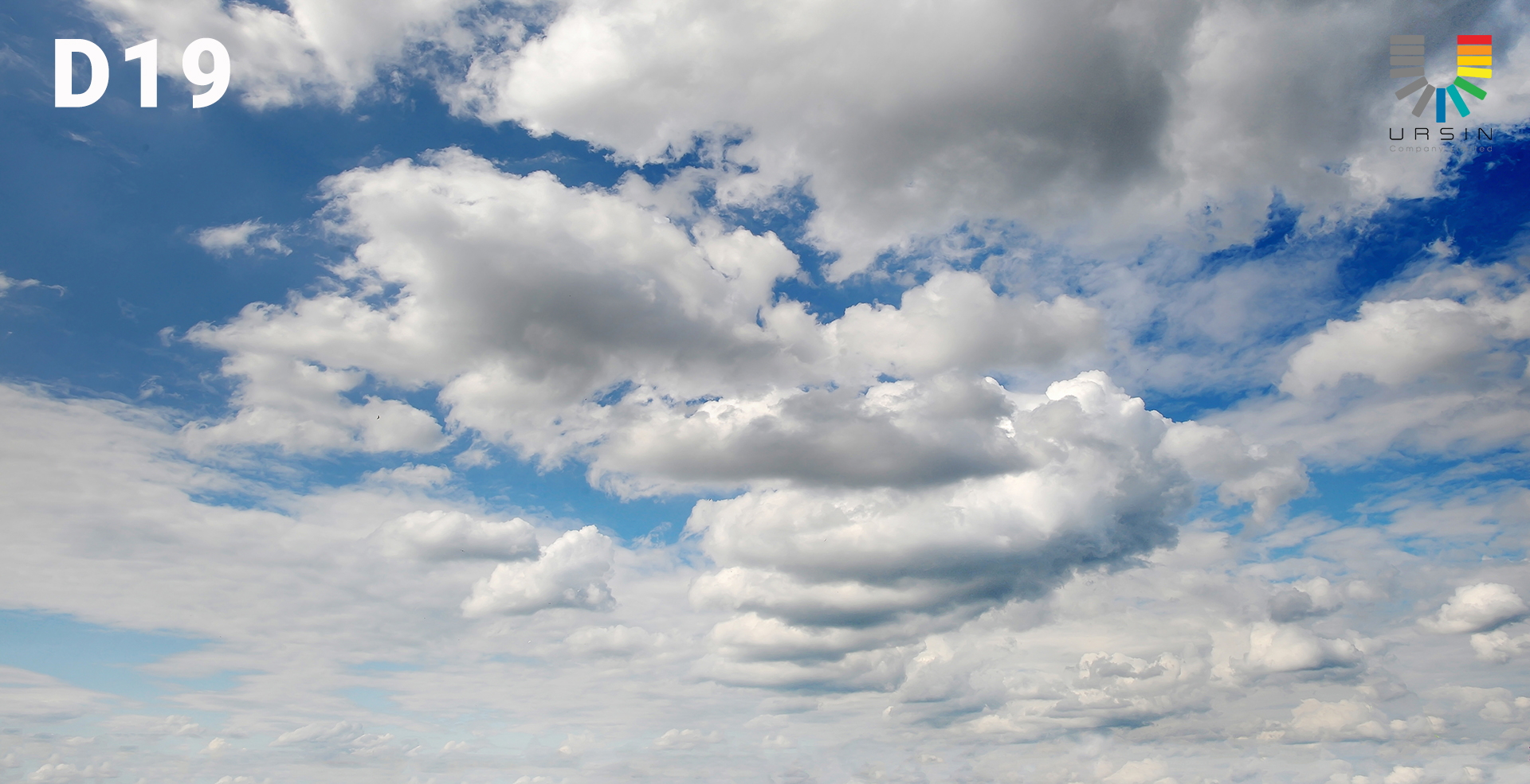 D-No19 - Ursin Professional Editing