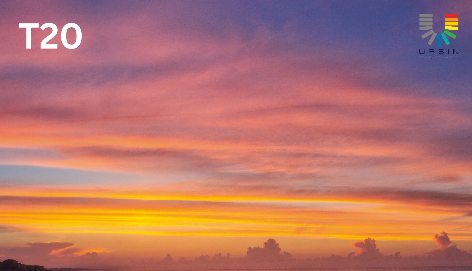 8 - Ursin Professional Editing